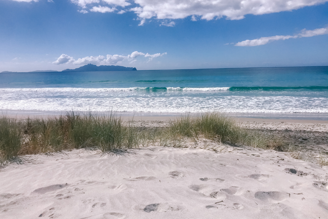 17 Of The Best Beaches in New Zealand
